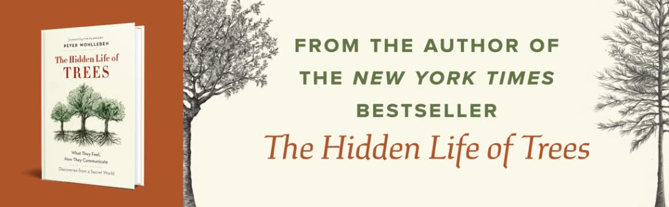 Review: The Power of Trees, by Peter Wohlleben, Translated by Jane ...